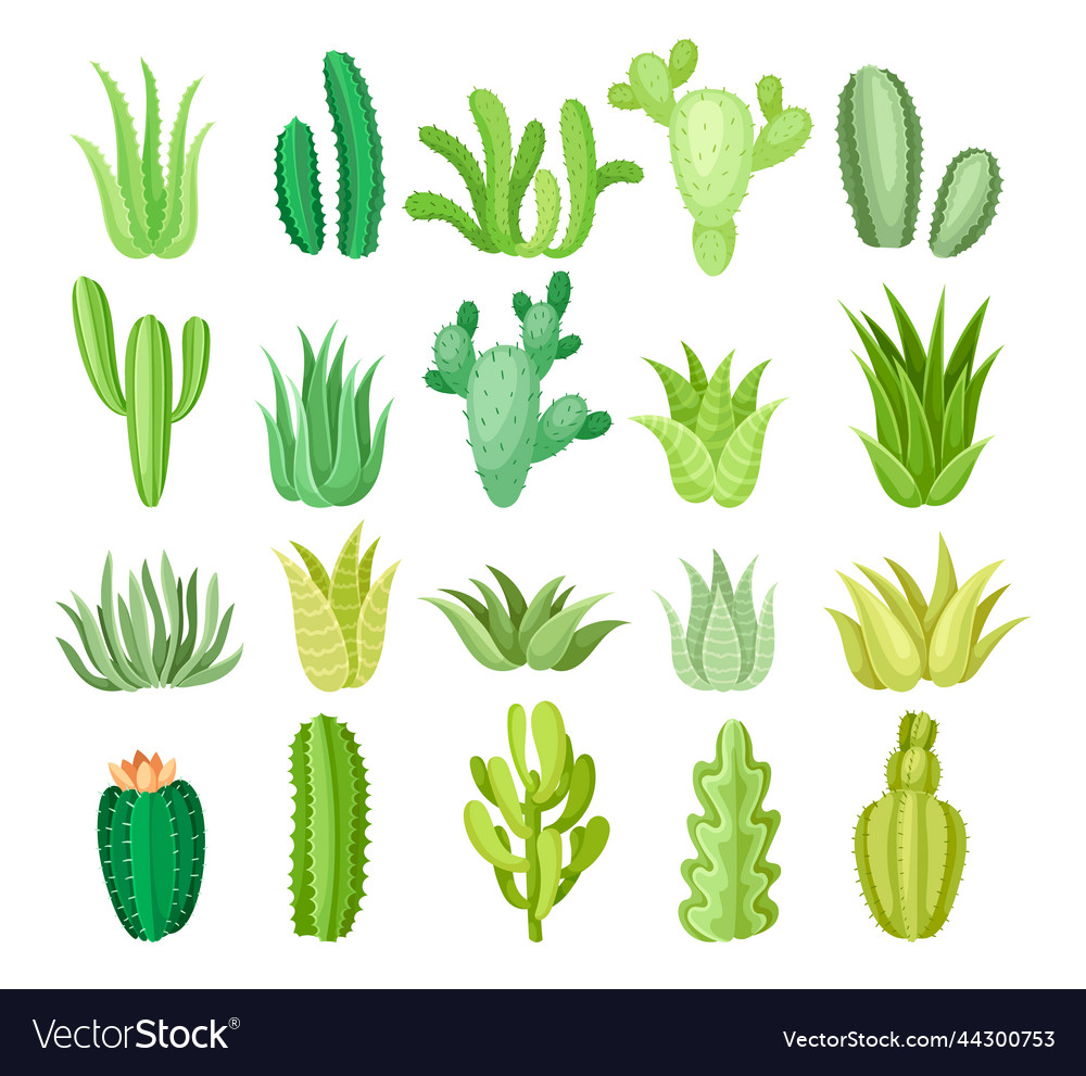 Set of different mexican plants Royalty Free Vector Image