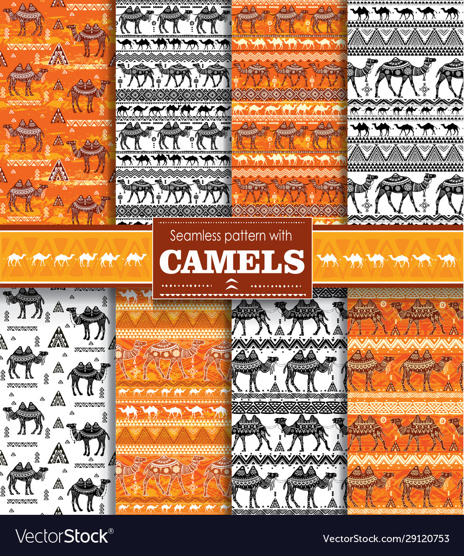 Set seamless pattern with camels Royalty Free Vector Image