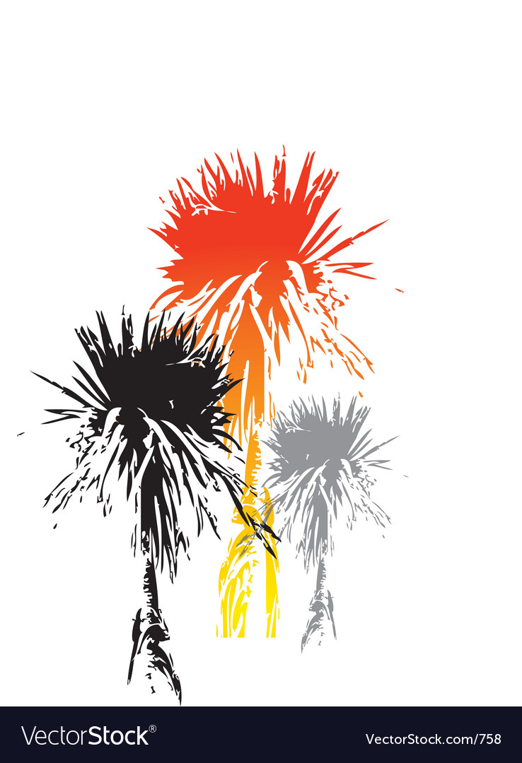 Cabbage tree Royalty Free Vector Image - VectorStock