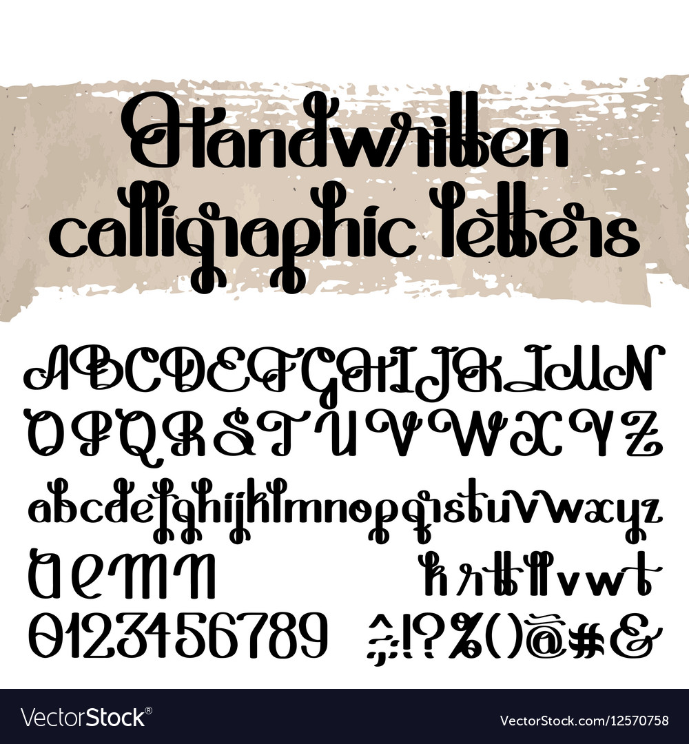 Handwritten calligraphic script Royalty Free Vector Image