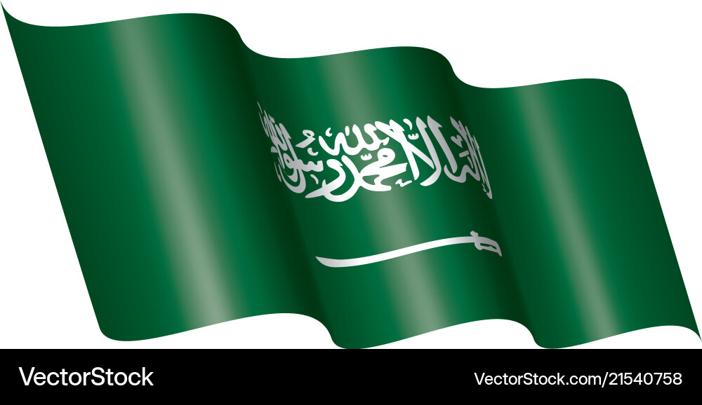 Saudi arabia flag on a white Royalty Free Vector Image