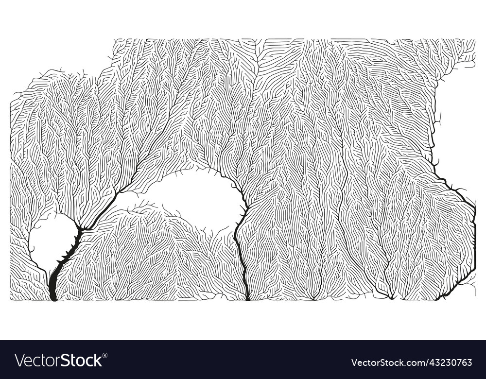 Growth pattern generative branching structure Vector Image