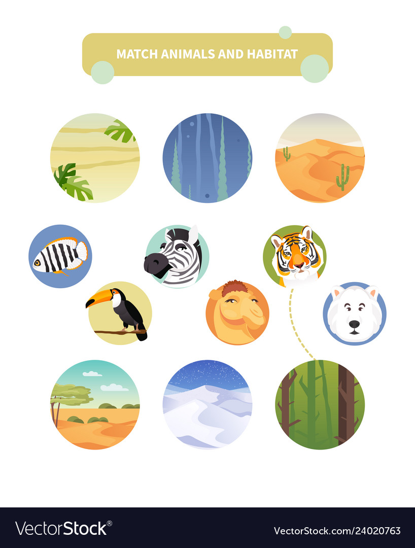 Match animals and habitat Royalty Free Vector Image