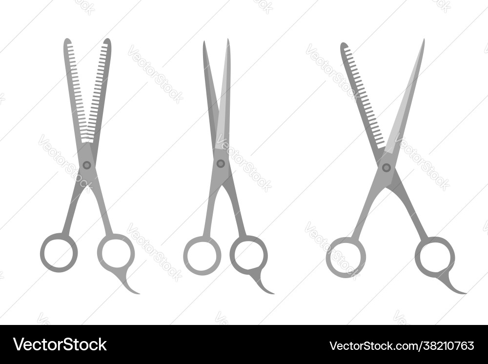 Set barber accessories for cutting and trimming Vector Image