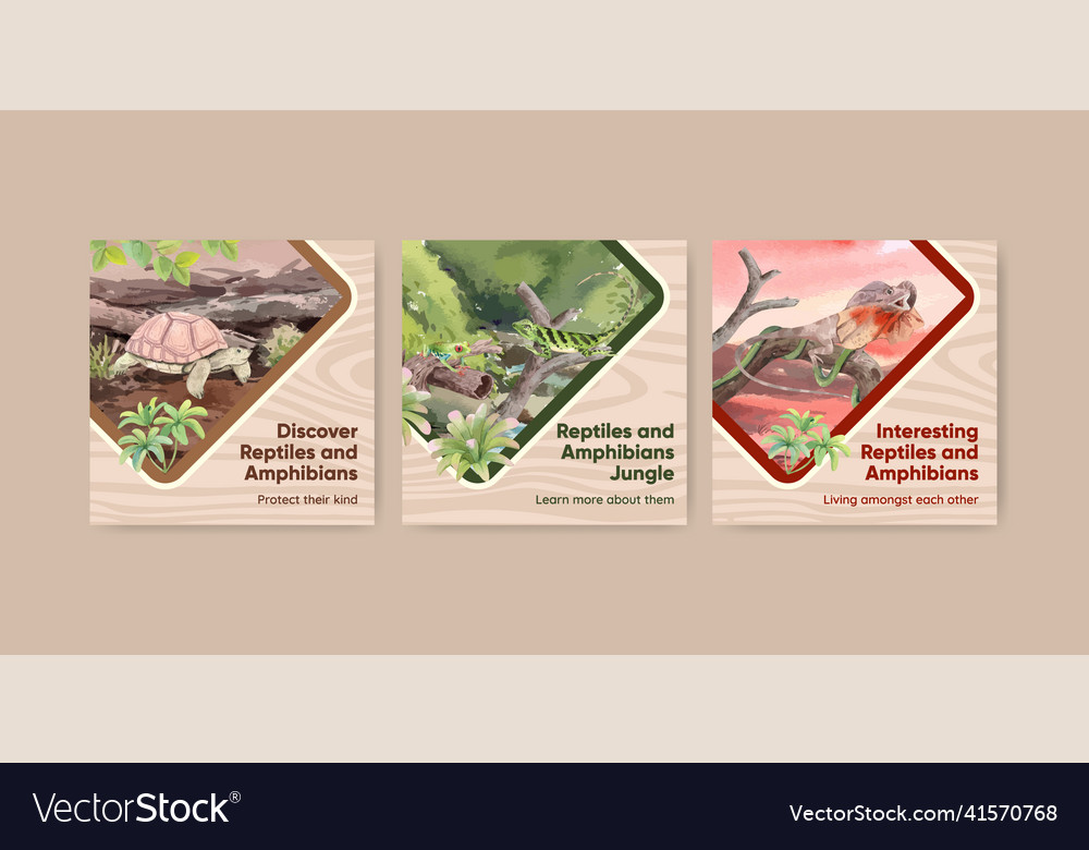 Banner template with reptiles and amphibians Vector Image