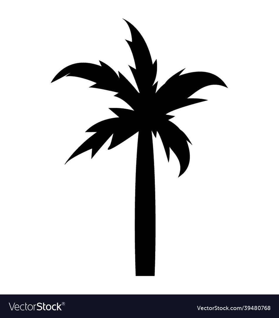 Beech tree Royalty Free Vector Image - VectorStock