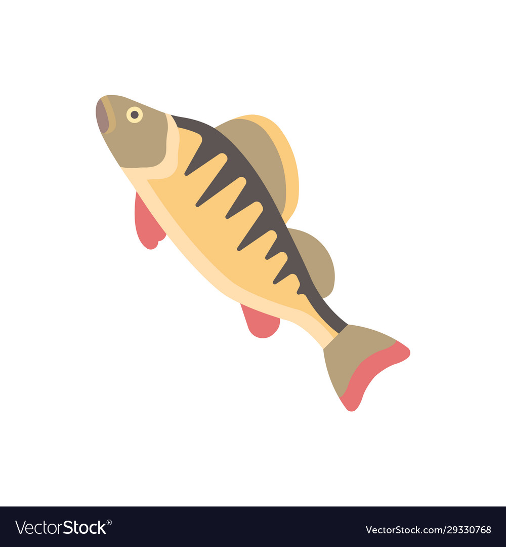 Perch Royalty Free Vector Image - VectorStock