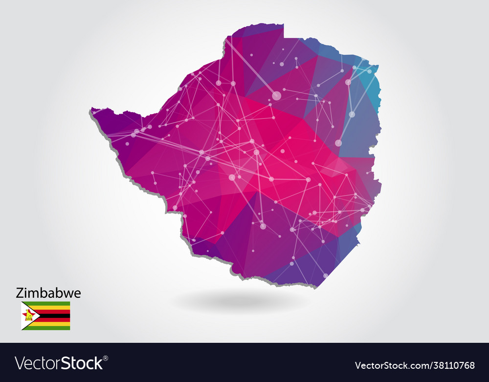 Polygonal zimbabwe map low poly design made Vector Image