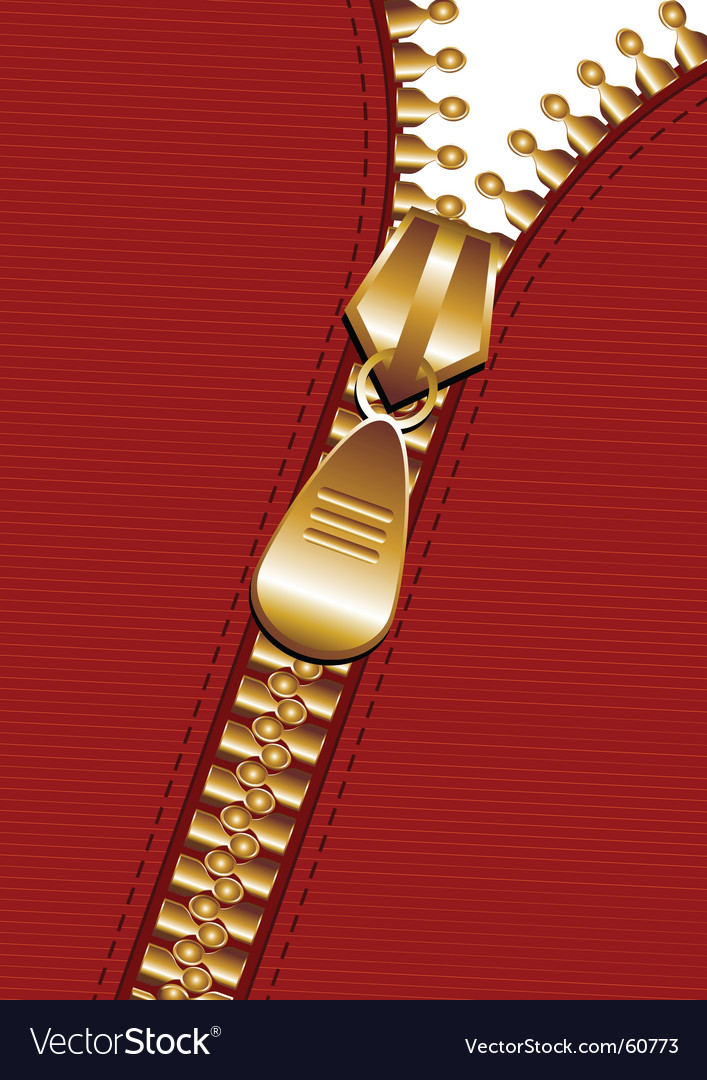 Zipper background Royalty Free Vector Image - VectorStock