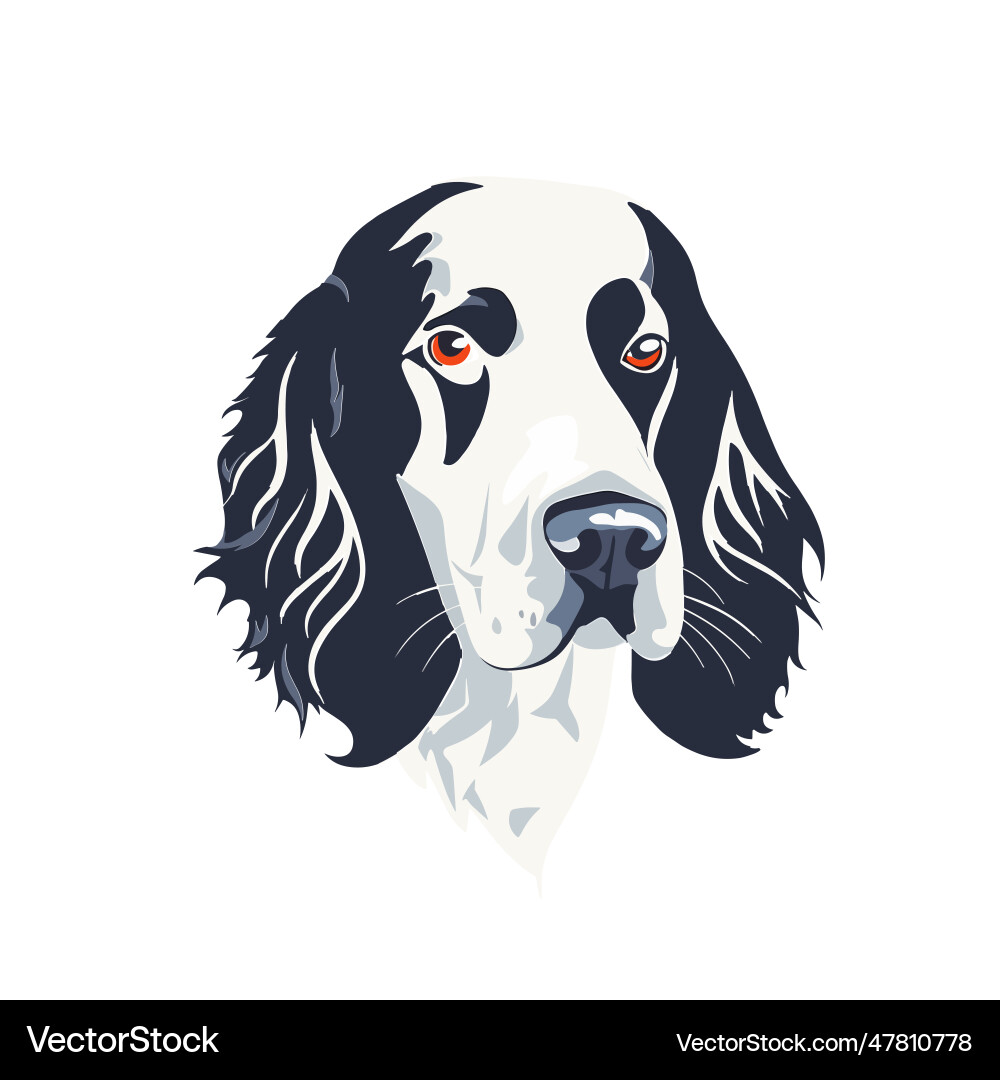 English springer spaniel dog head Royalty Free Vector Image