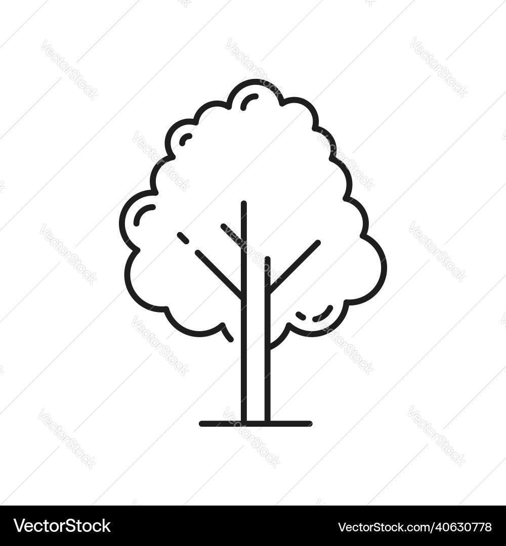 Exotic tree with abstract crown outline plant icon
