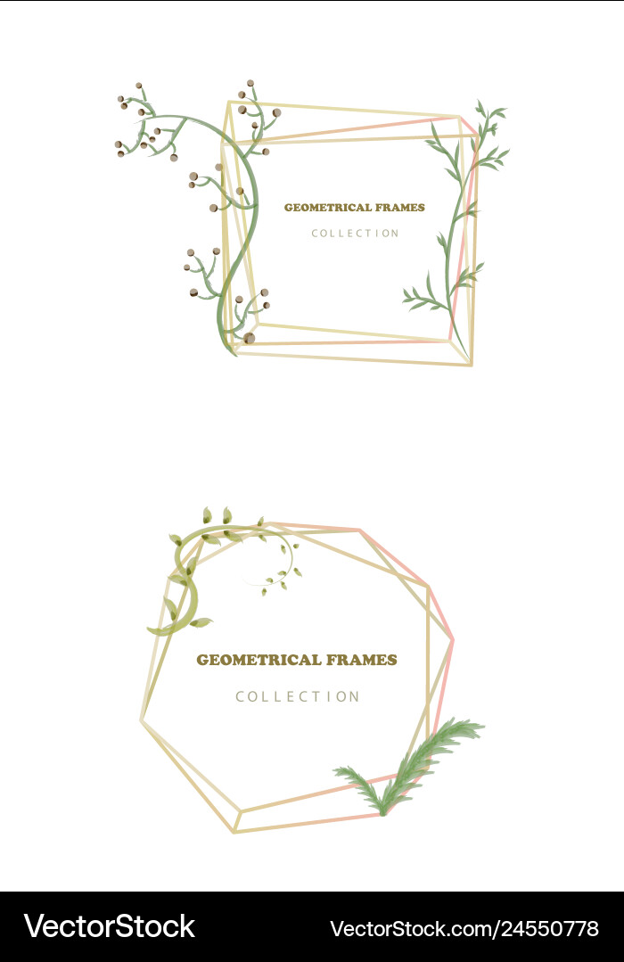 Floral elegant botanical card design Royalty Free Vector