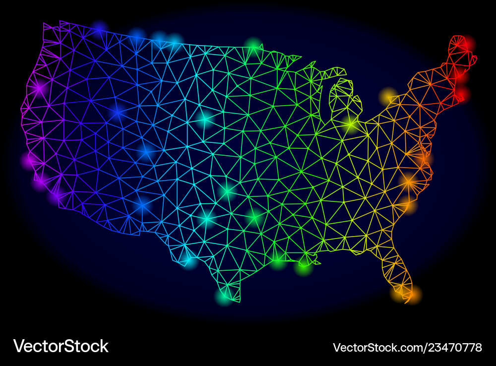 Polygonal network spectrum mesh map of usa Vector Image