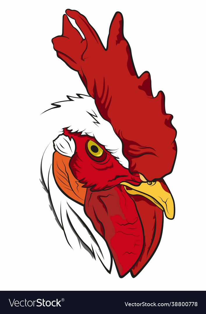 Rooster Royalty Free Vector Image - VectorStock