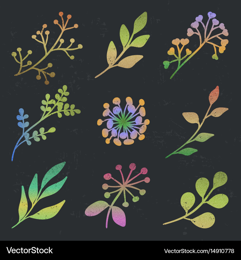Set of color branch Royalty Free Vector Image - VectorStock