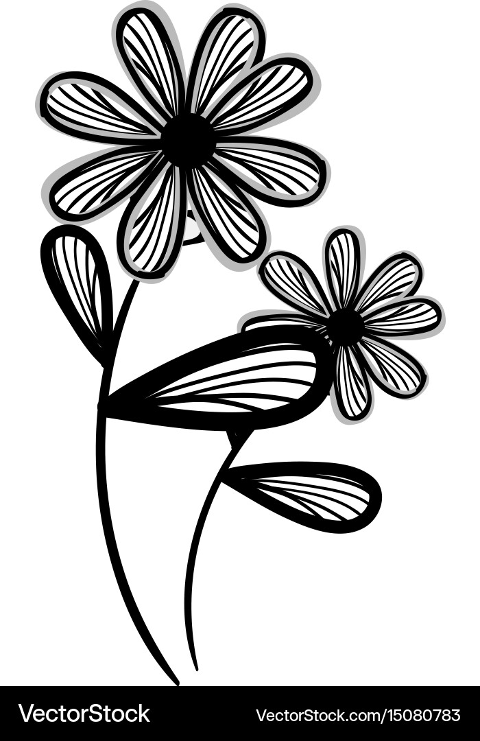 Beautiful flower decoration icon Royalty Free Vector Image