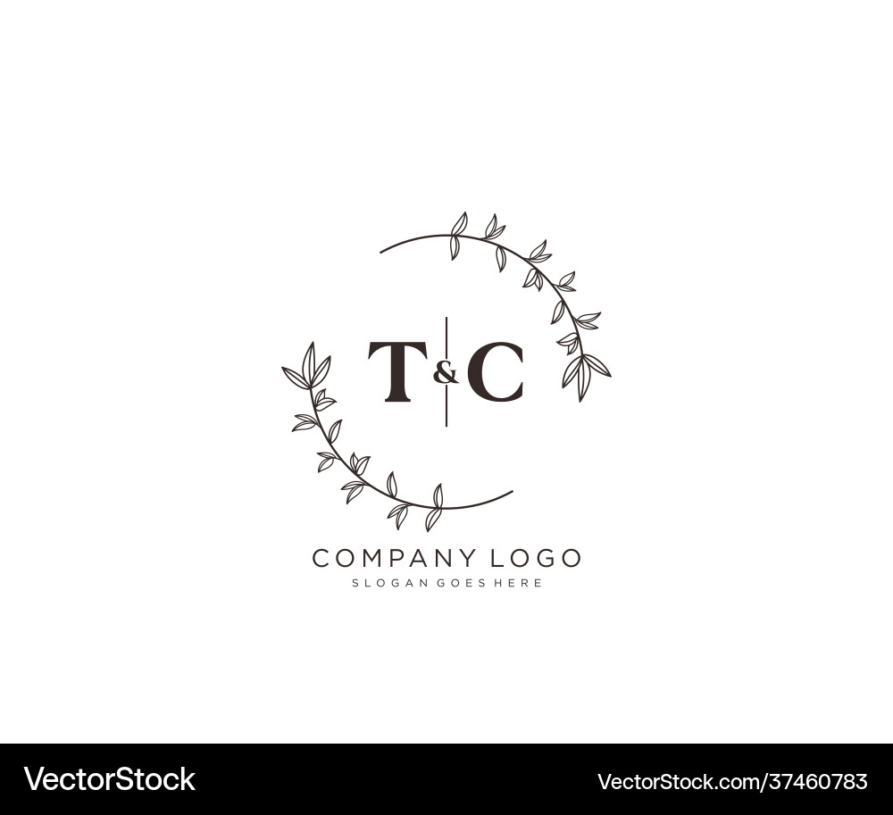 Initial tc letters beautiful floral feminine Vector Image