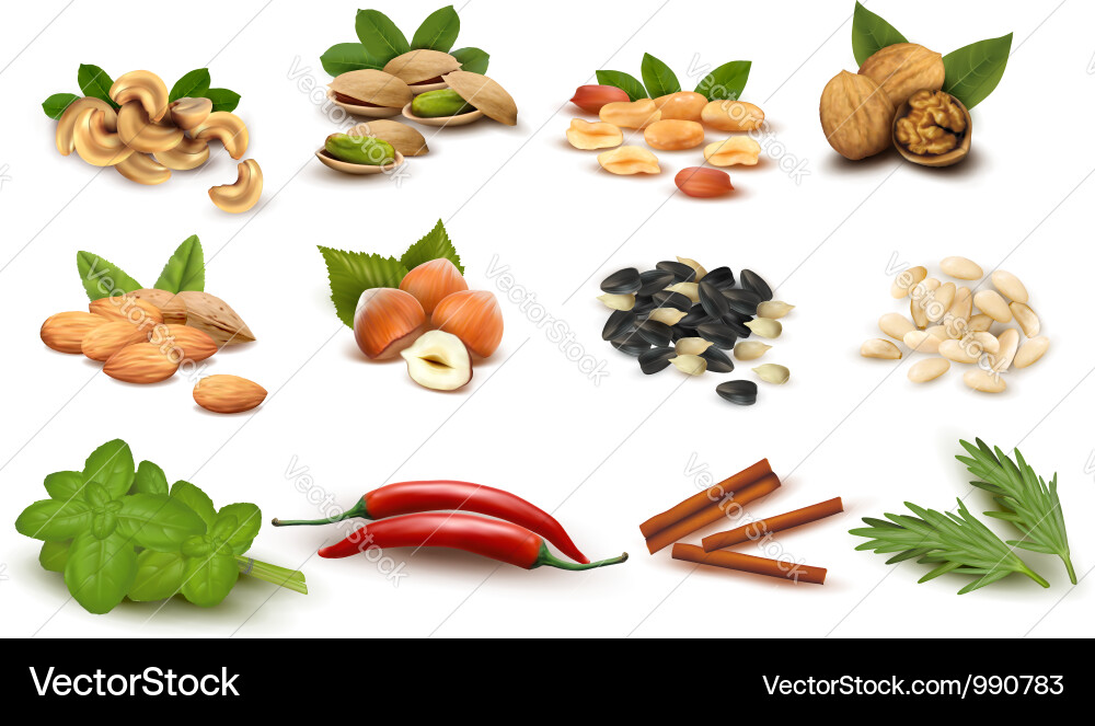 Mega collection of colorful nuts upd Royalty Free Vector