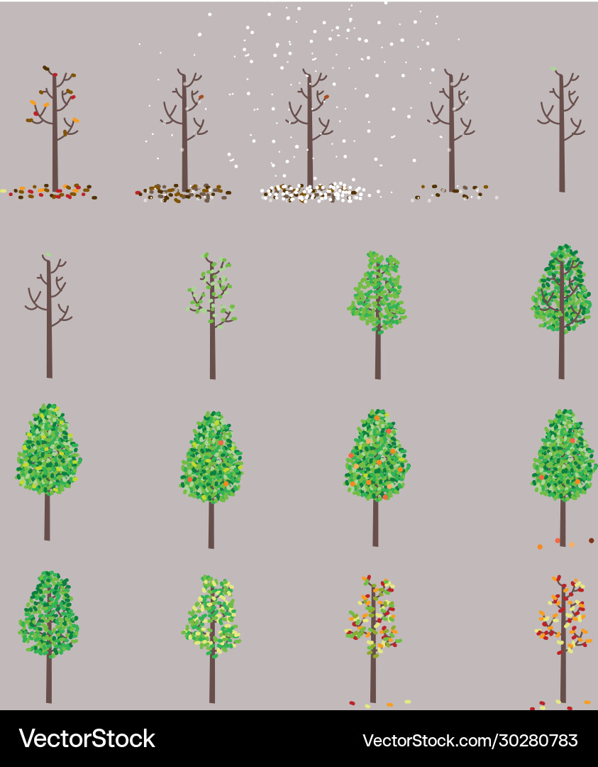 Spring summer autumn winter season changing Vector Image