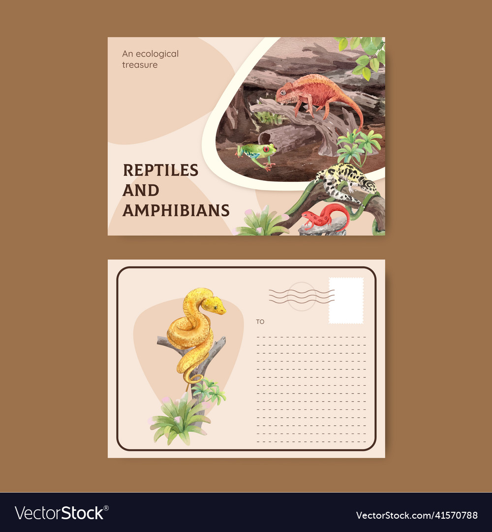 Postcard template with reptiles and amphibians Vector Image