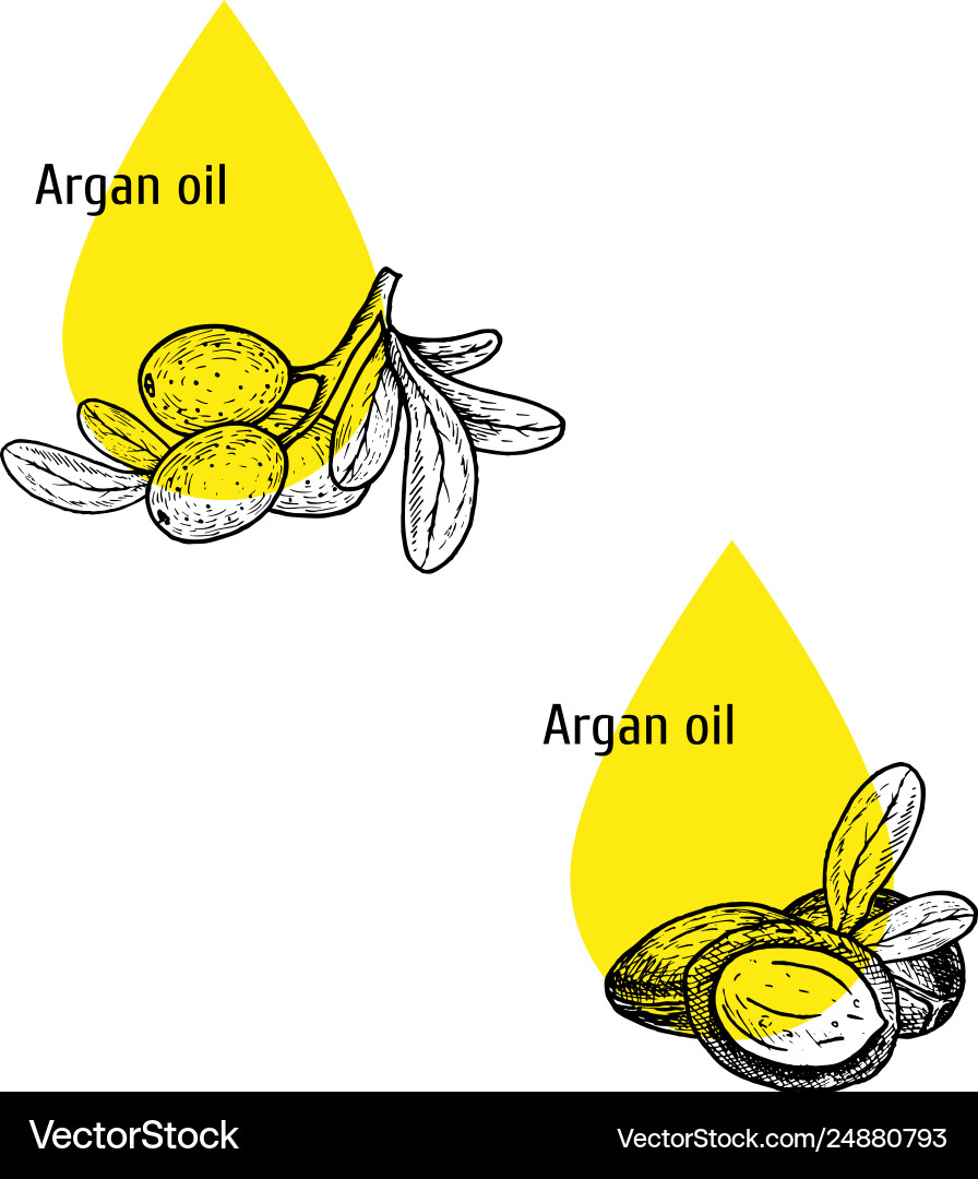 Argan oil icon set hand drawn sketch extract Vector Image