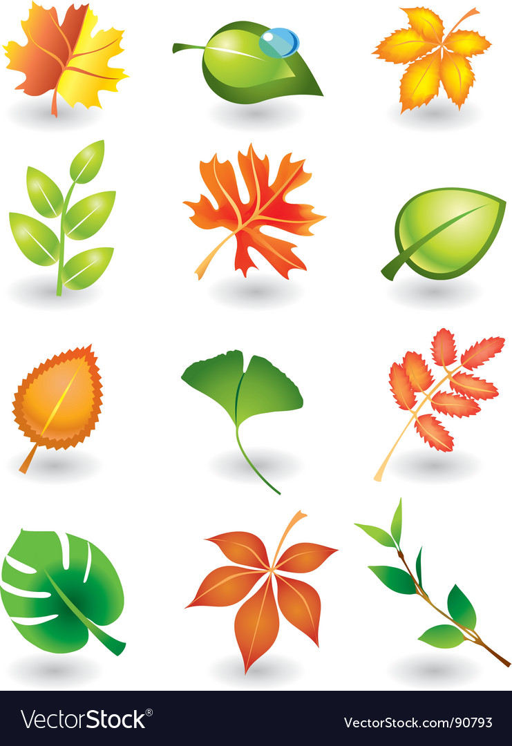 Leaves Royalty Free Vector Image - VectorStock