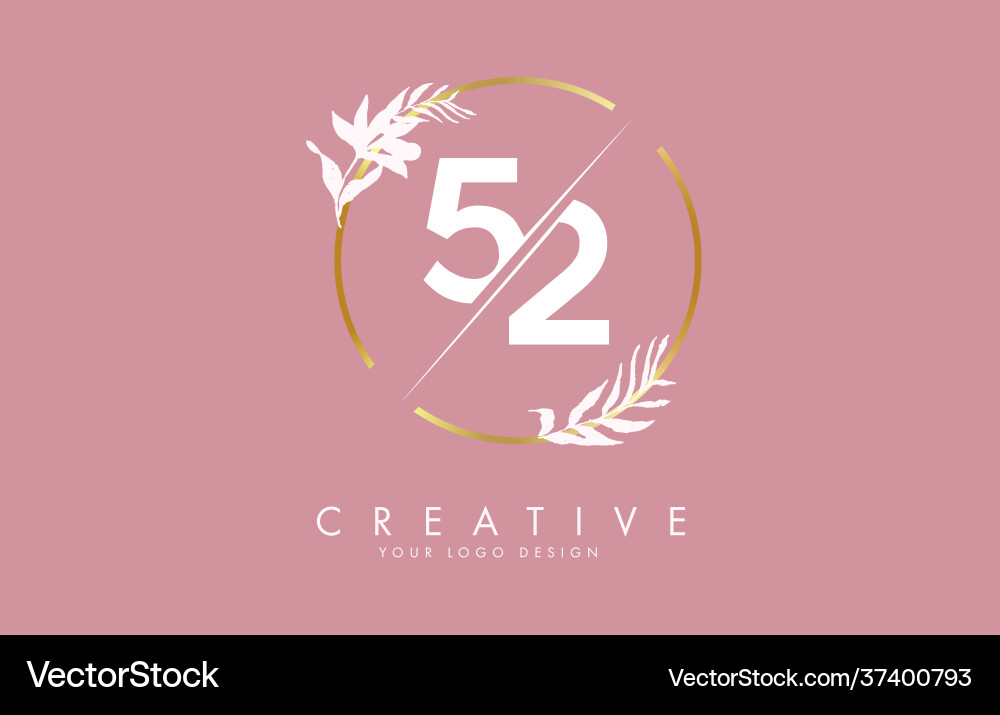Numbers 52 5 2 logo design with golden circle Vector Image