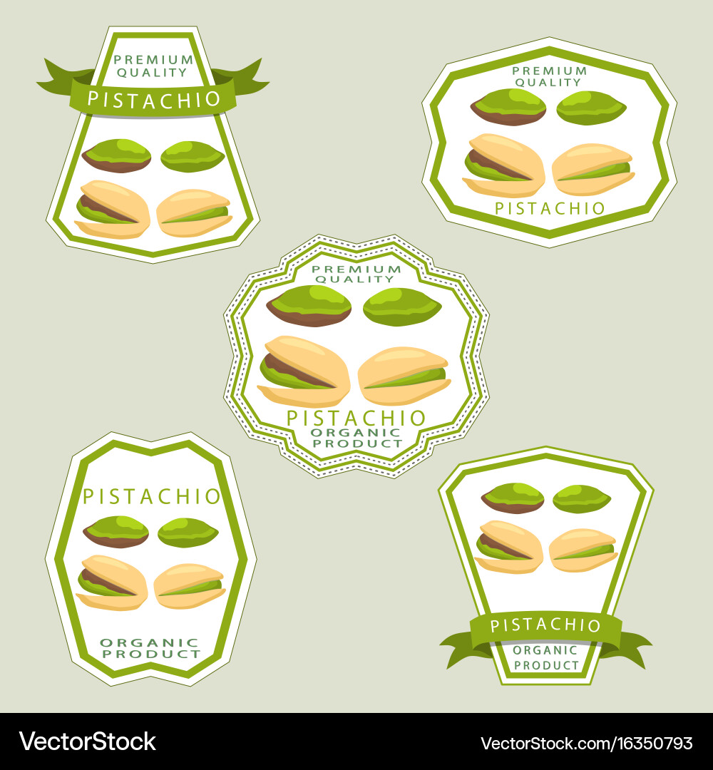 Theme pistachio Royalty Free Vector Image - VectorStock