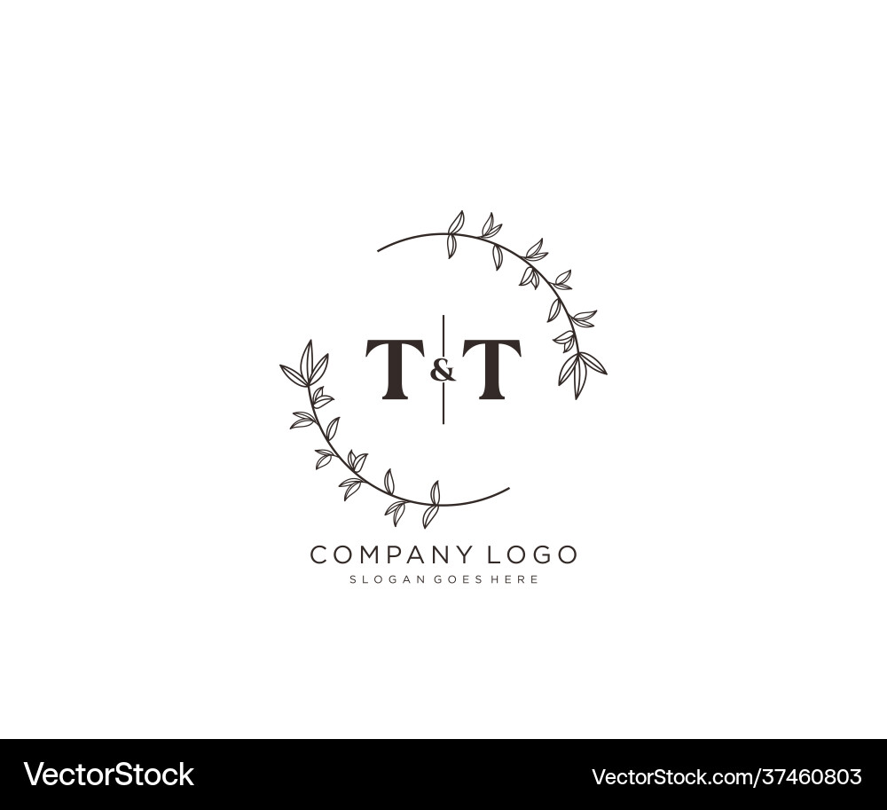 Initial tt letters beautiful floral feminine Vector Image