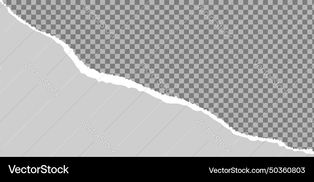 Ripped paper background for collage design jagged Vector Image