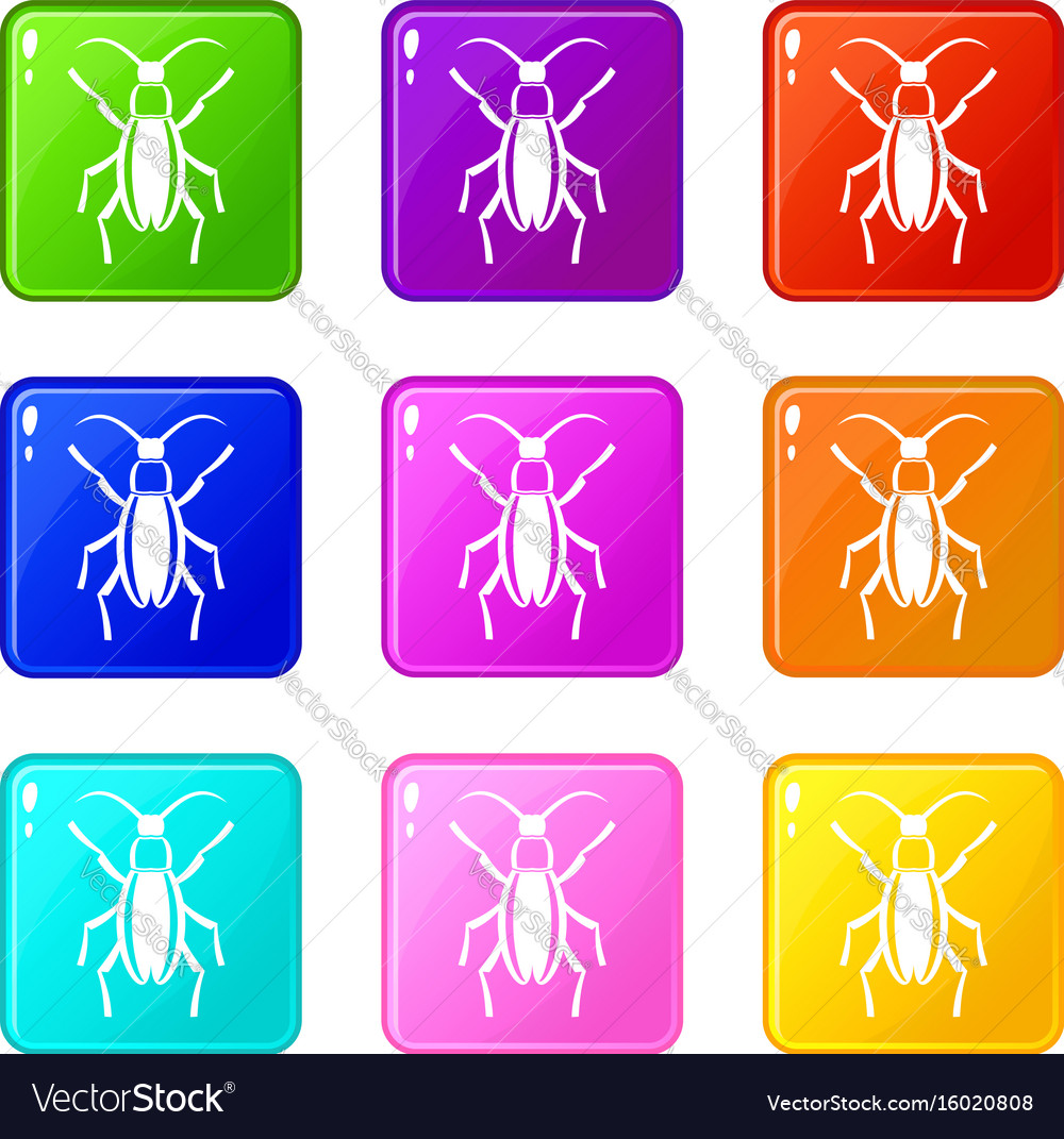 Beetle bug set 9 Royalty Free Vector Image - VectorStock