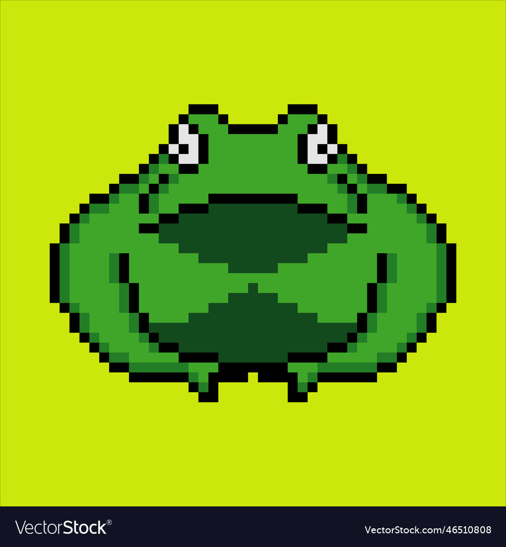 Frog with pixel art Royalty Free Vector Image - VectorStock
