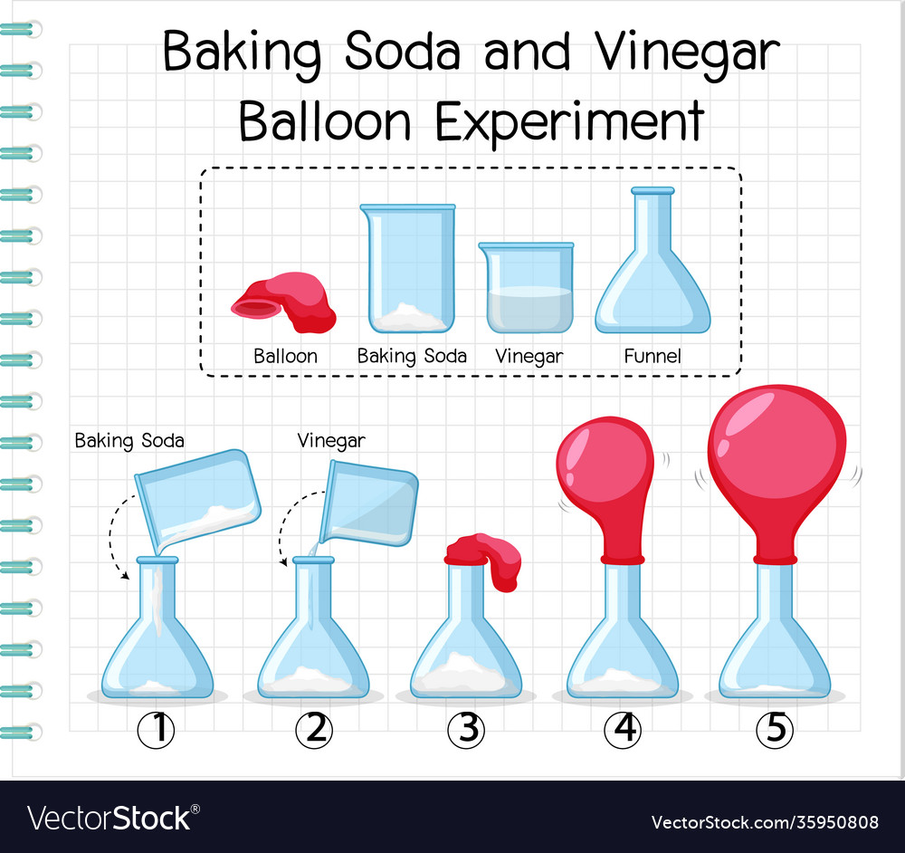 Science experiment with baking soda and vinegar Vector Image