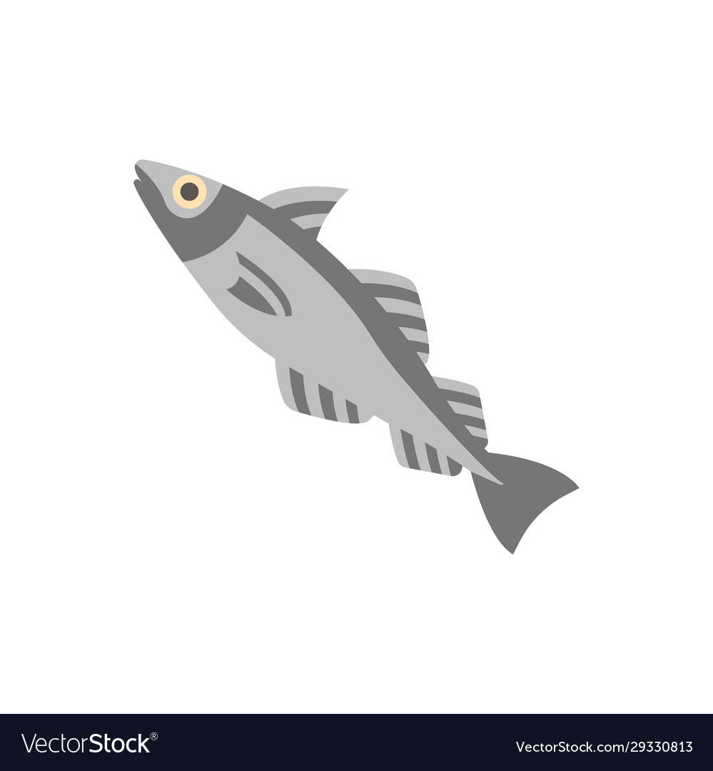 Haddock Royalty Free Vector Image - VectorStock