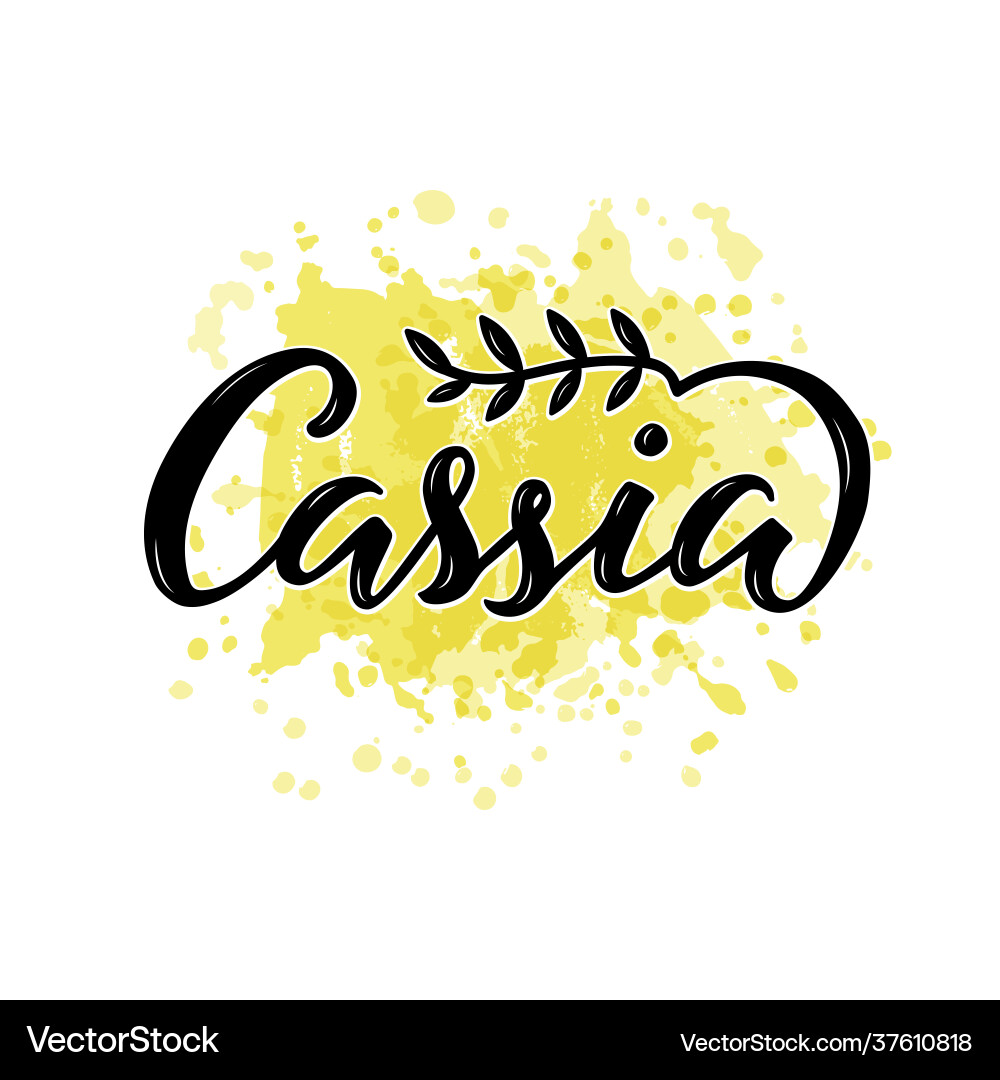 Cassia black handwritten word on yellow Royalty Free Vector
