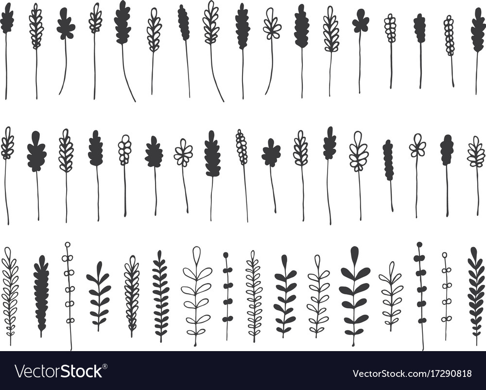 Hand drawn botanical decorative design elements Vector Image Hand drawn botanical decorative design elements Vector Image