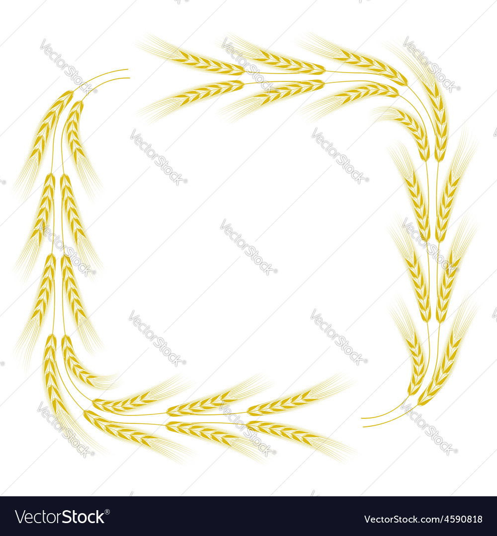 Wheat frame Royalty Free Vector Image - VectorStock