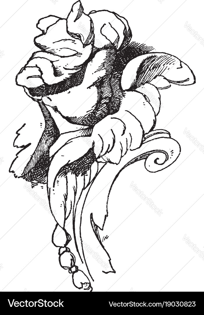 Cherub face as a part a frame vintage engraving Vector Image