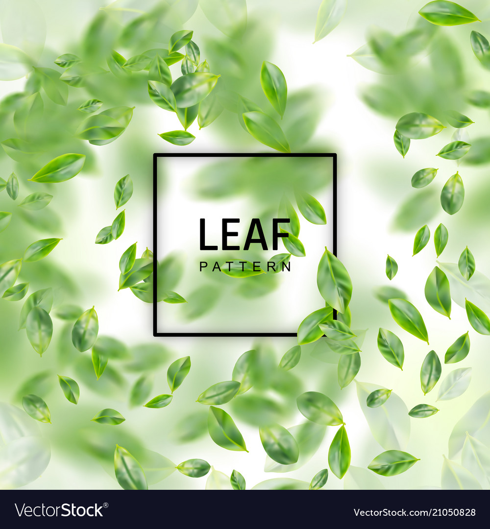 Leaf realistic background Royalty Free Vector Image