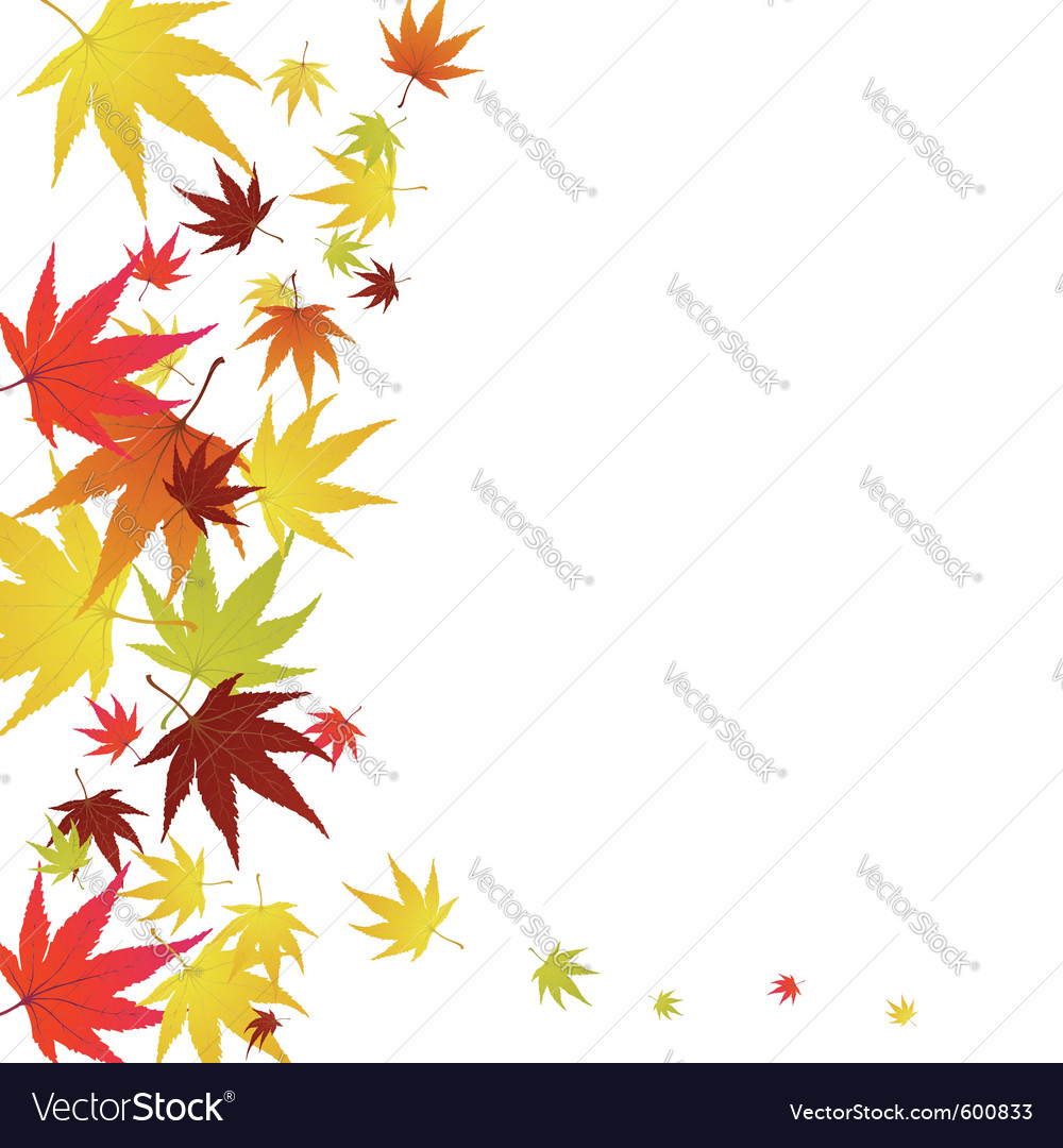 Autumn maple leaves Royalty Free Vector Image - VectorStock