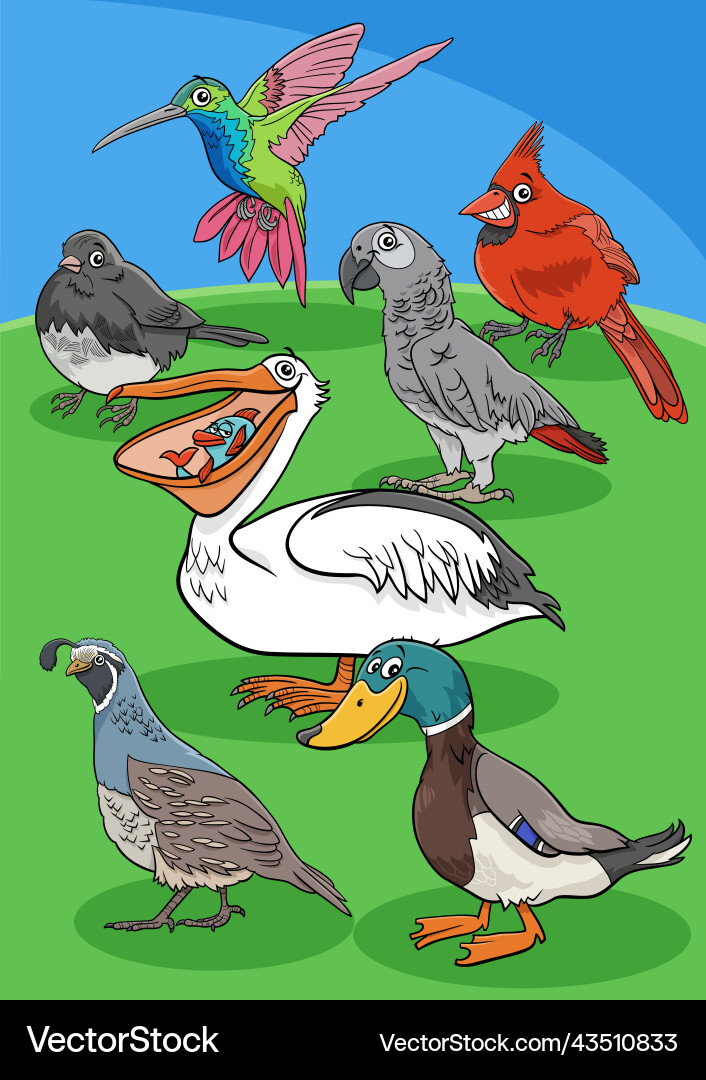 Cartoon birds animal characters group Royalty Free Vector