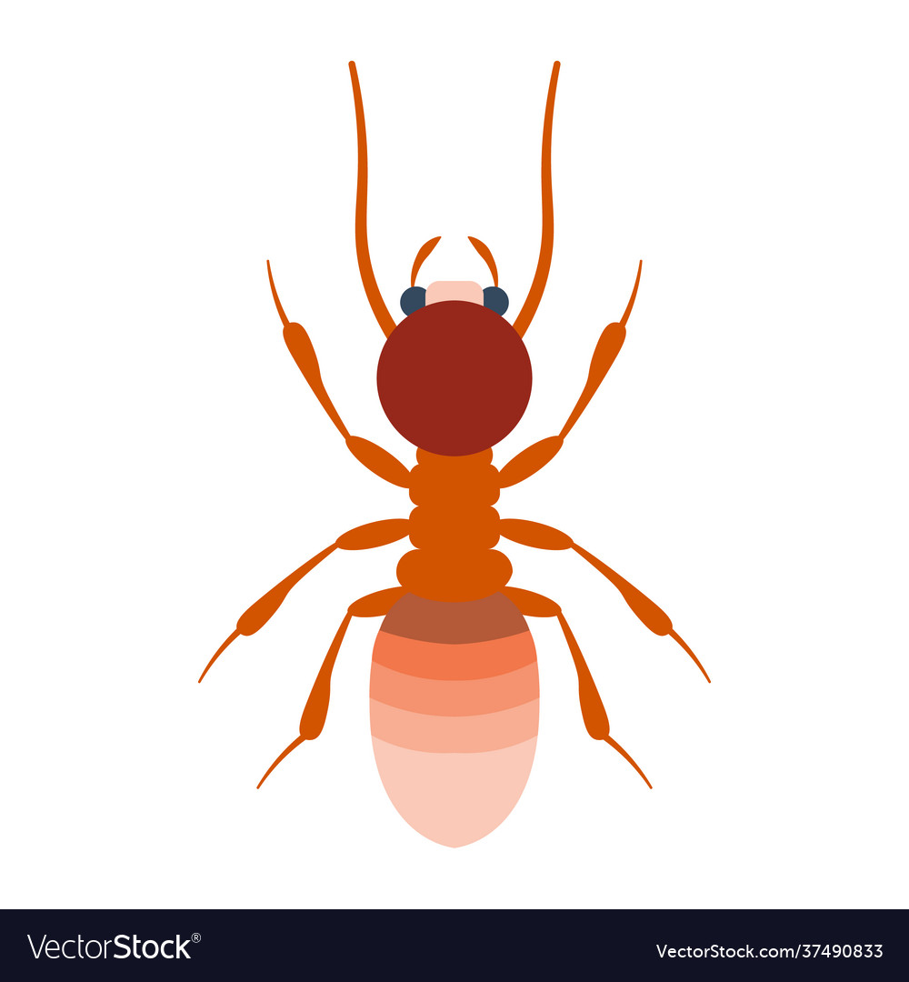 Termite Royalty Free Vector Image - VectorStock
