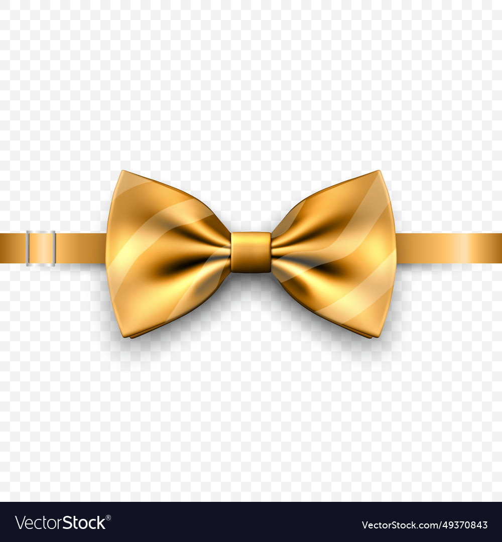 3d realistic golden bow tie closeup Royalty Free Vector