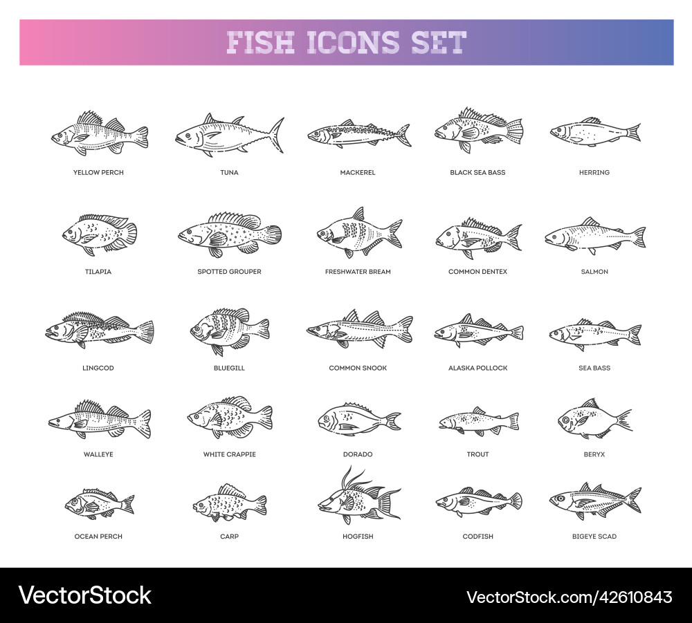 Types marine ocean fish and freshwater Royalty Free Vector
