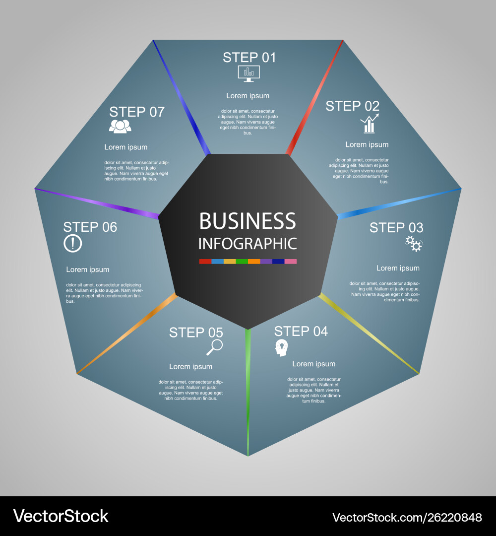 Business infographics geometry heptagon design Vector Image