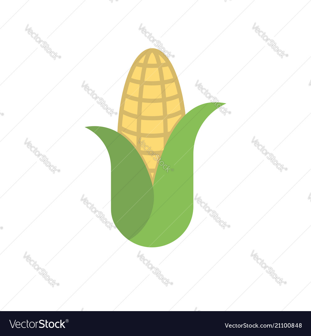 Corn flat icon Royalty Free Vector Image - VectorStock