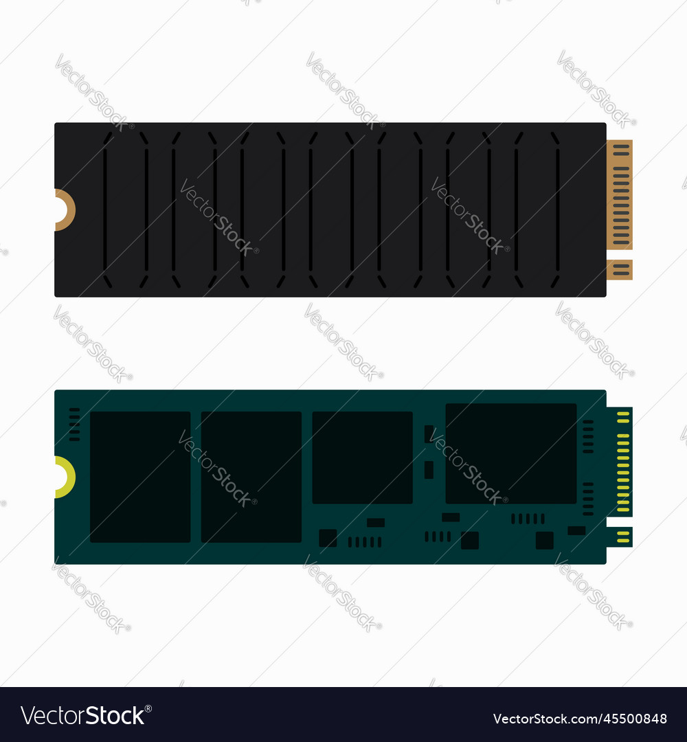 Solid state drive m2 format Royalty Free Vector Image