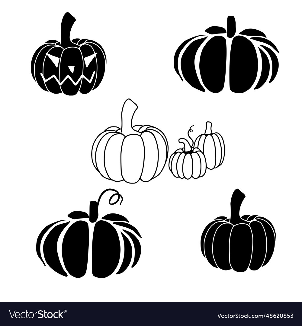 Halloween pumpkin black silhouette and line Vector Image
