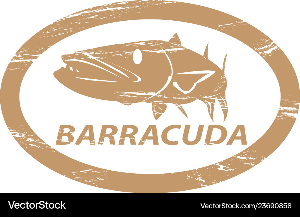 Barracuda Royalty Free Vector Image - VectorStock