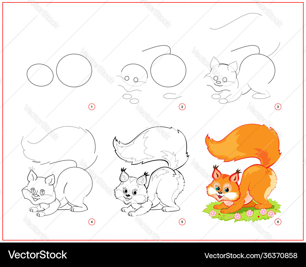 How to draw cute little squirrel educational page Vector Image